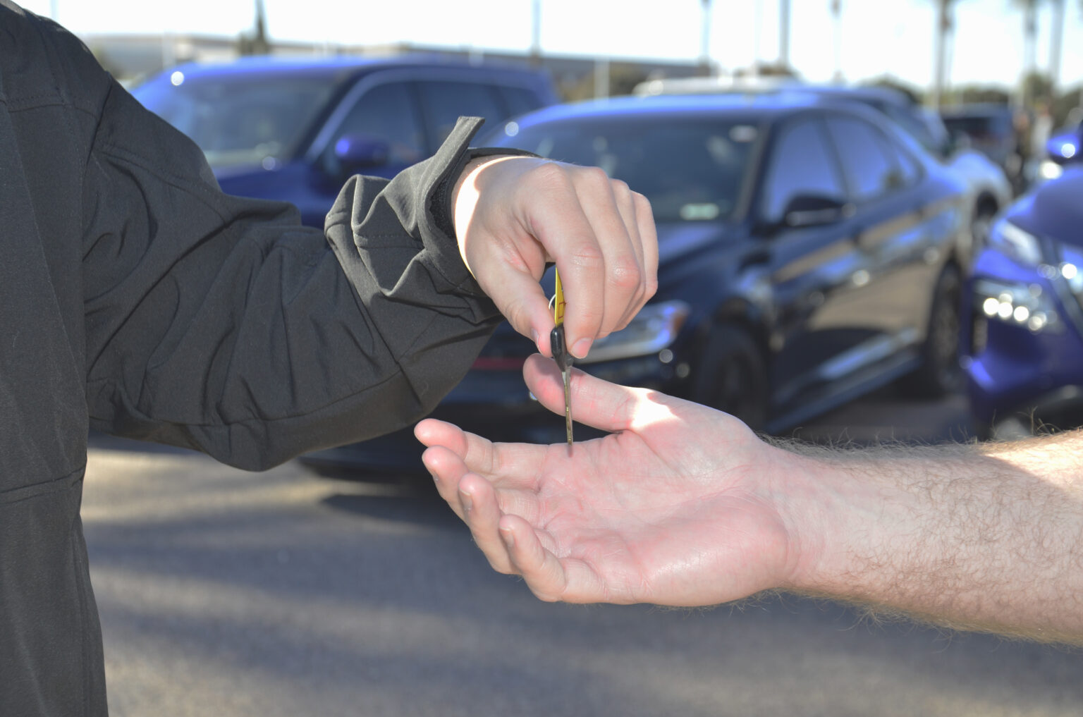 Automotive Merchandising | Redline